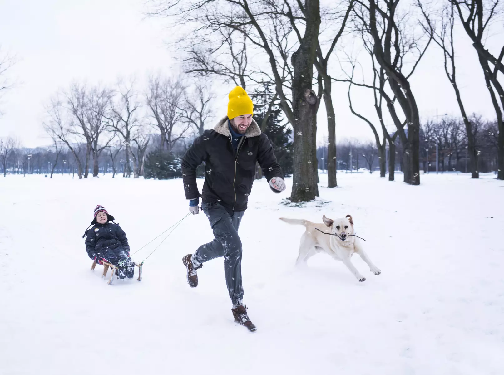 Car Rental insurances and coverage | Hertz Iceland Car Rental