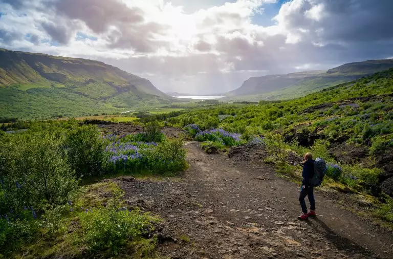 Iceland Landscape Guide: Where to Go and How to Explore by Car